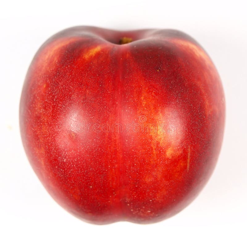 Nectarine stock photo. Image of isolated, plant, healthy - 10584138