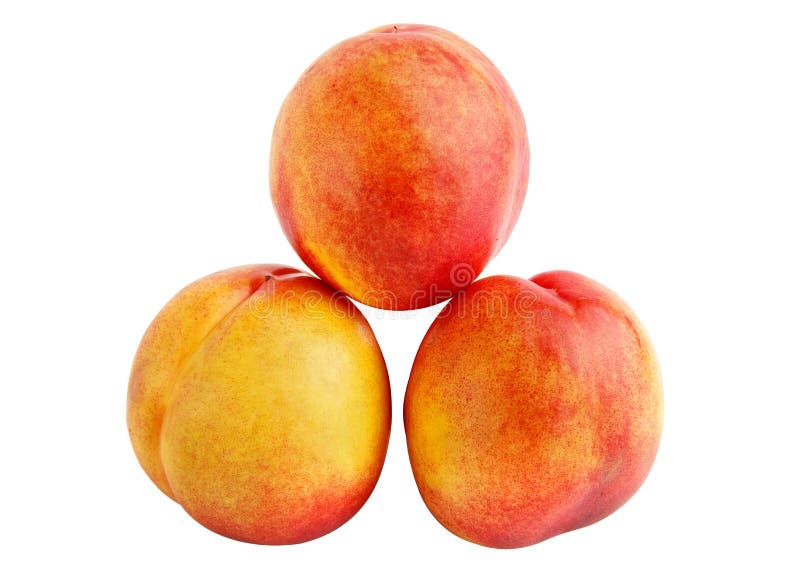 Nectarine stock photo. Image of ingredient, eating, healthy - 10903578
