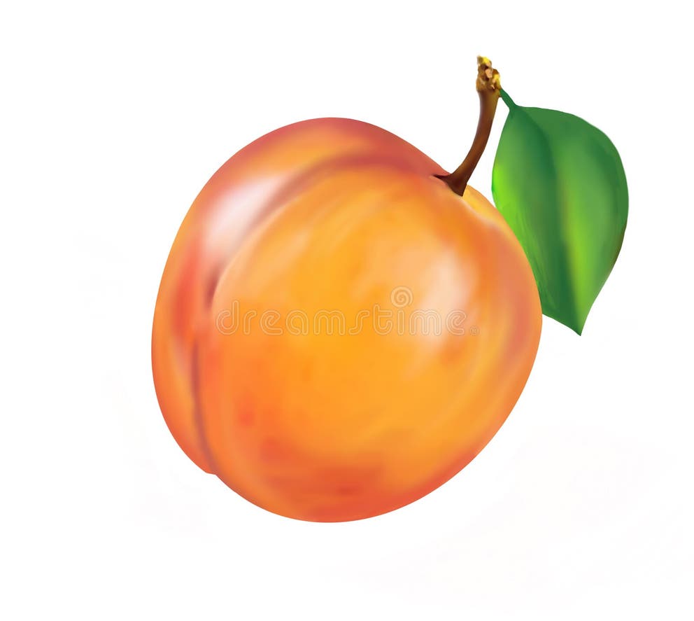 Red Nectarine Fruit Stock Illustrations – 4,338 Red Nectarine Fruit ...