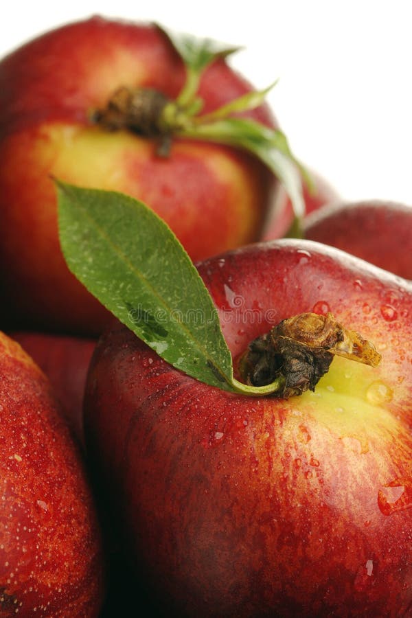 Nectarine stock image. Image of colorful, leaf, organic - 937893