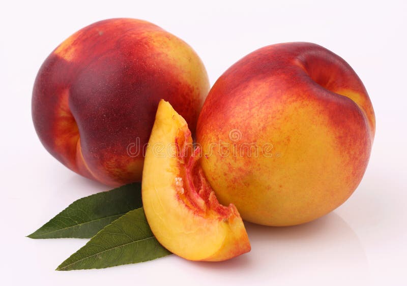 Nectarine stock photo. Image of food, organic, close - 66404236