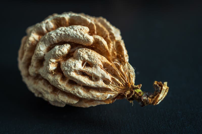 Nectarine Fruit Stone Seed Closeup Stock Image - Image of nectarine ...