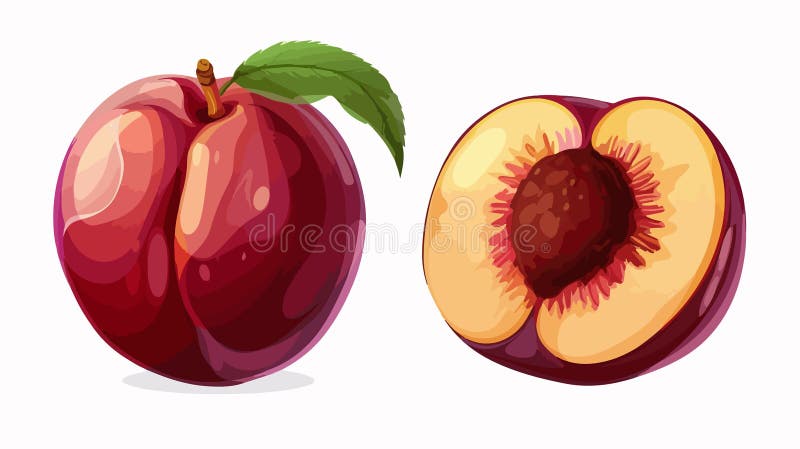 Nectarine Fruit Vector Icon Silhouette for Graphic Design Projects ...