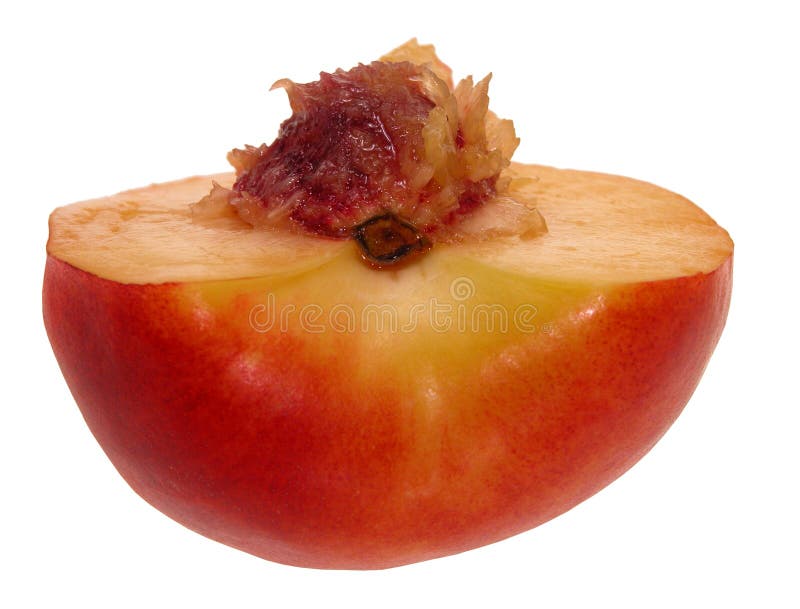 Nectarine Half stock image. Image of fruit, food, diet, healthy - 20503