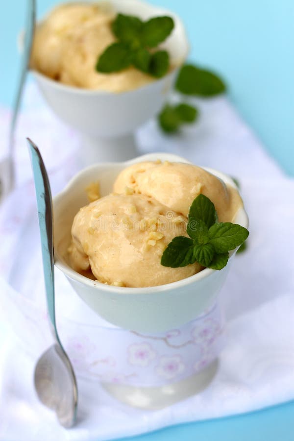Nectarine ice cream stock image. Image of organic, dishware - 19972287