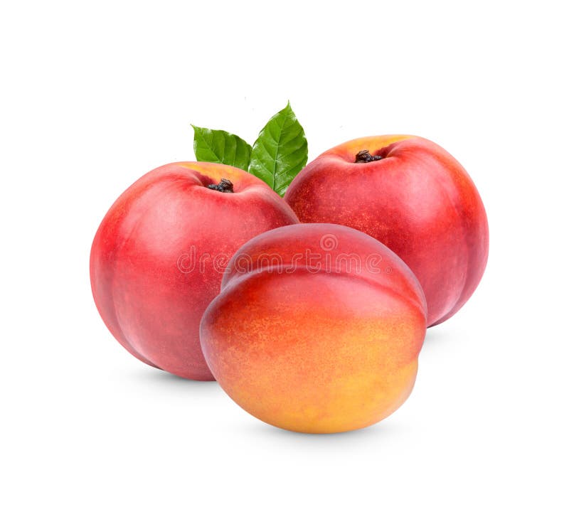 Nectarine with Leaves Isolated on White Background Stock Image - Image ...