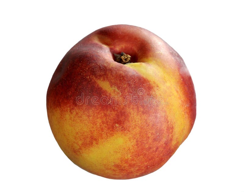 Nectarine over white stock photo. Image of food, vegetarian - 11109016