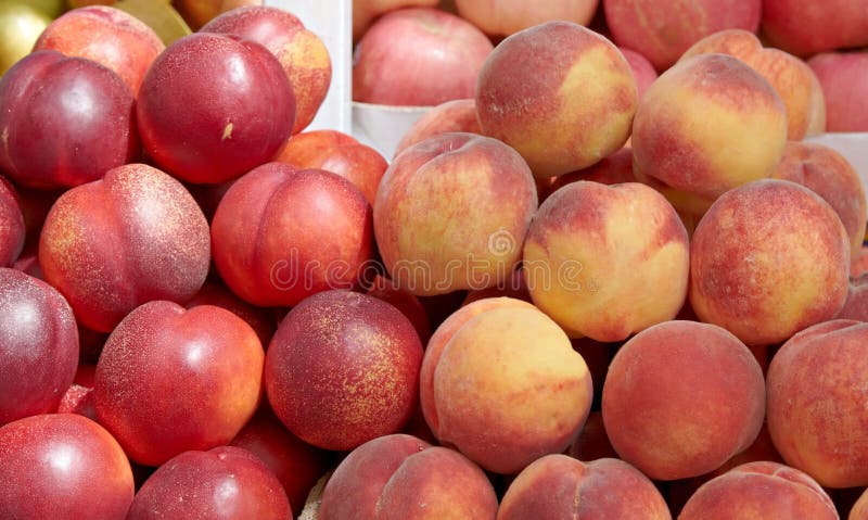 Nectarine and Peach stock image. Image of yield, nutritious - 15467845