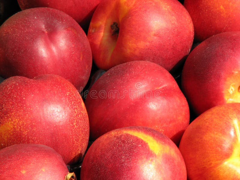 Nectarines stock photo. Image of pattern, nectarines, colour - 1055526