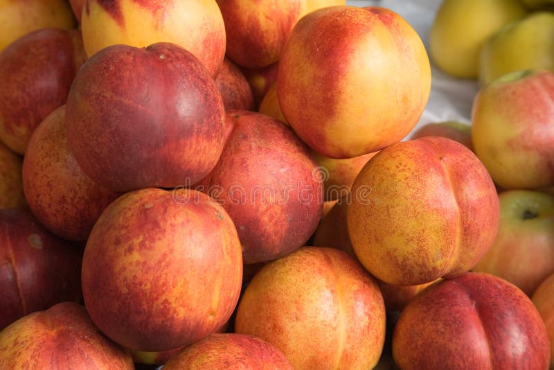 Mango pile stock photo. Image of mangoes, agriculture - 73447336