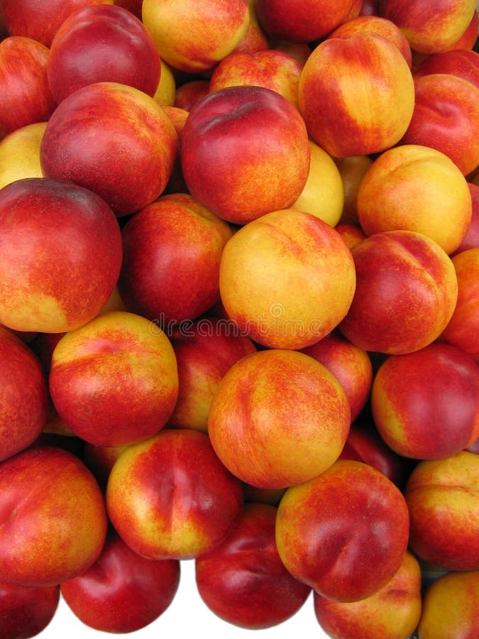 Nectarines. stock photo. Image of hybride, fruits, festival - 1324280