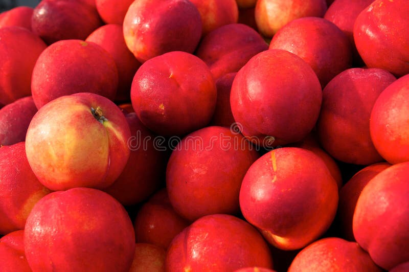 Nectarines stock photo. Image of ripe, group, fruit, agriculture - 14899178