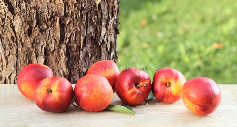 Nectarines stock image. Image of nectarine, close, food - 15849105