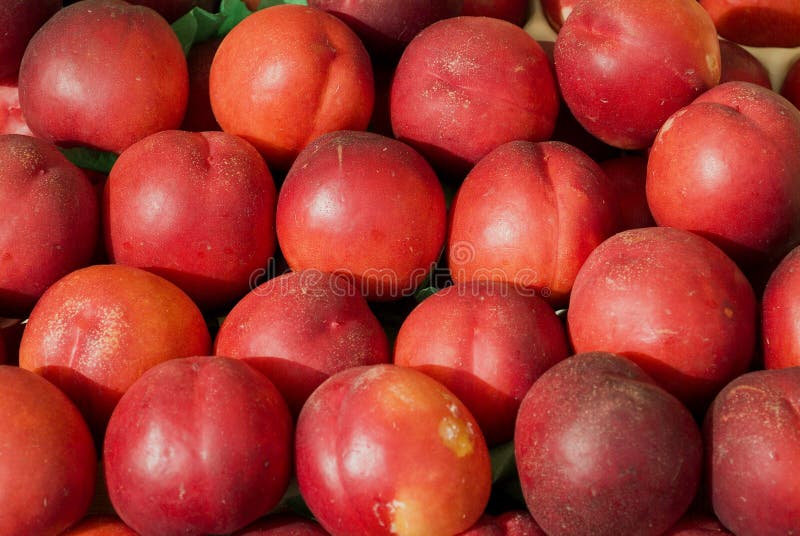 Nectarines stock image. Image of round, french, nutrition - 202635