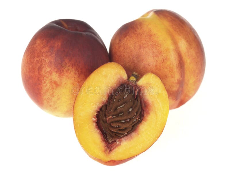 Pink Nectarine Flowers and Bud Stock Photo - Image of flower, stem ...