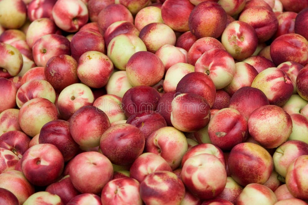 Nectarines stock image. Image of nectarines, skin, speckled - 3030853