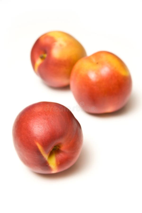 Nectarines stock image. Image of fresh, juicy, round, sweet - 8445437