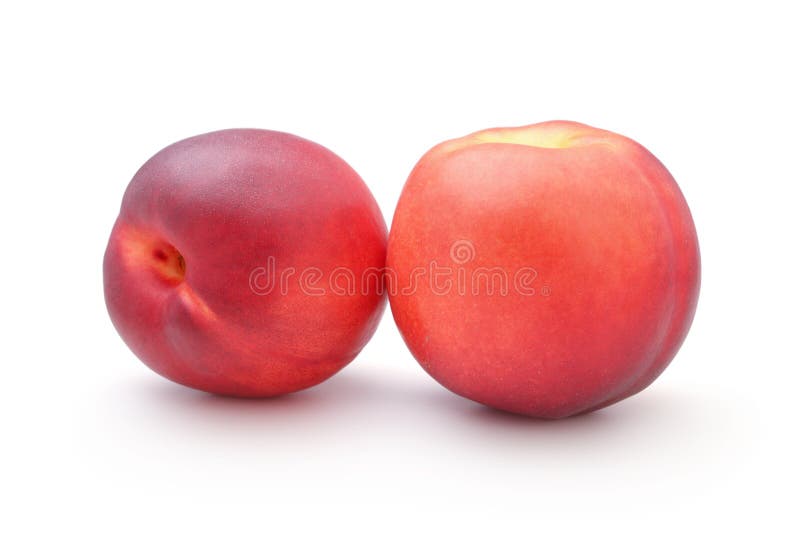 Nectarines Isolated on White Stock Photo - Image of isolated, nature ...