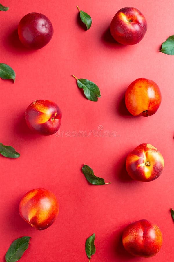 Nectarines and Leaves on Red Background Stock Photo - Image of ...
