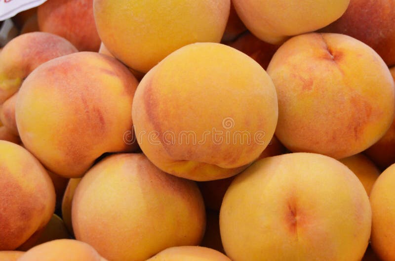 Nectarines, Peaches and Apricots, Fresh Ripe Fruit Background with Copy ...