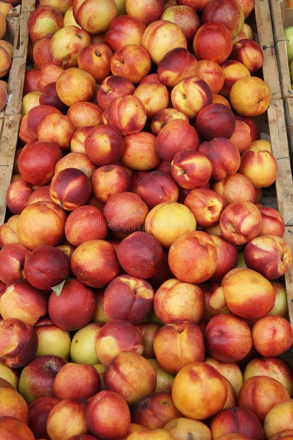 Fruits stock image. Image of wholesale, store, taste - 37786355