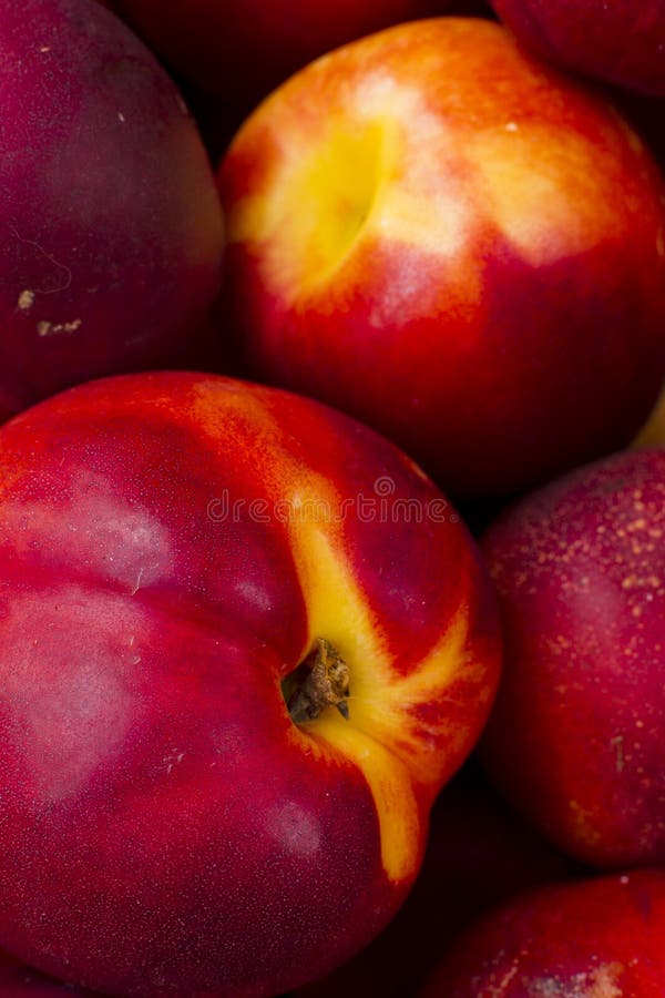 Nectarines. stock image. Image of yellow, treat, healthy - 59138741