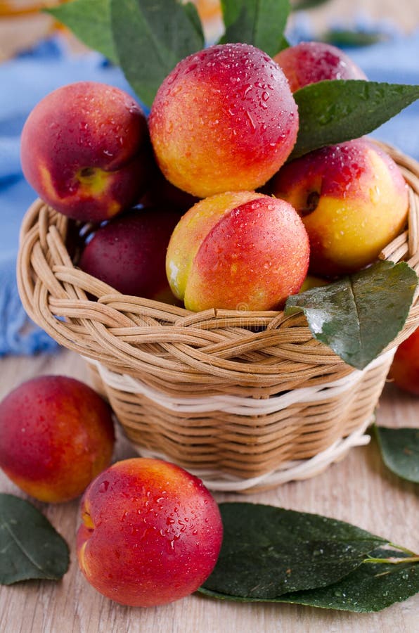 Nectarines stock image. Image of clean, droplets, food - 43177435