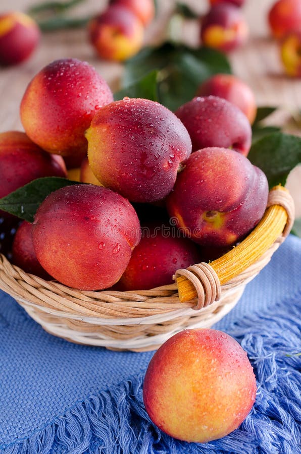 Nectarines stock image. Image of group, small, nectarine - 43189897