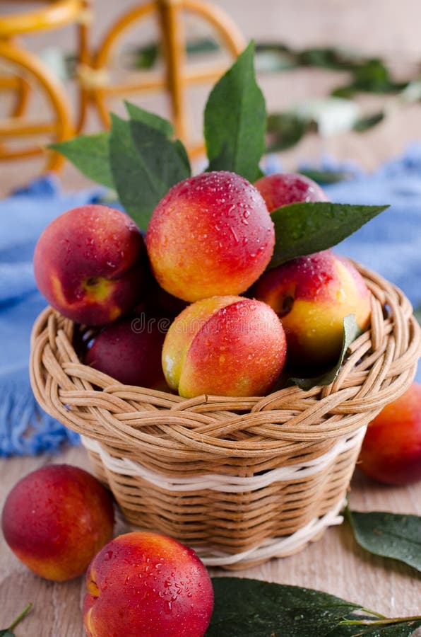 Nectarines stock image. Image of leaf, beautiful, seasonal - 43189925