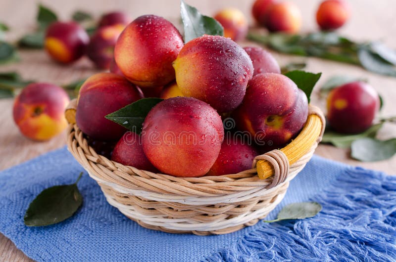 Nectarines stock image. Image of food, seasonal, peach - 43189963