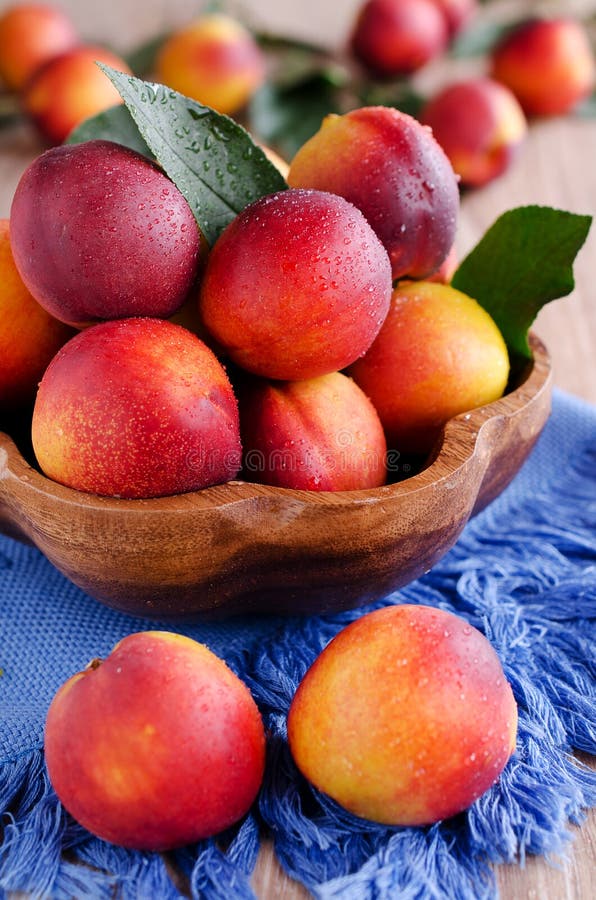 Nectarines stock photo. Image of seasonal, snack, agriculture - 43176002