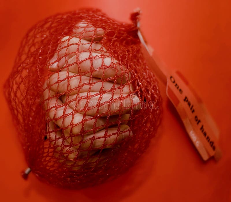 Need an Extra Pair of Hands? Stock Photo - Image of detail, business ...