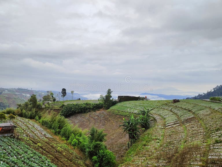 Need a Natural Element that S Calming and Has a Unique Structure ...