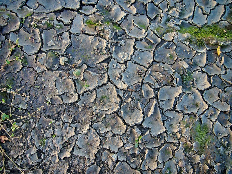 Need Rain cracked dry soil stock photo. Image of high - 178836644