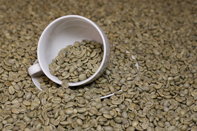 Need raw coffee stock image. Image of bottom, coffee - 15924933