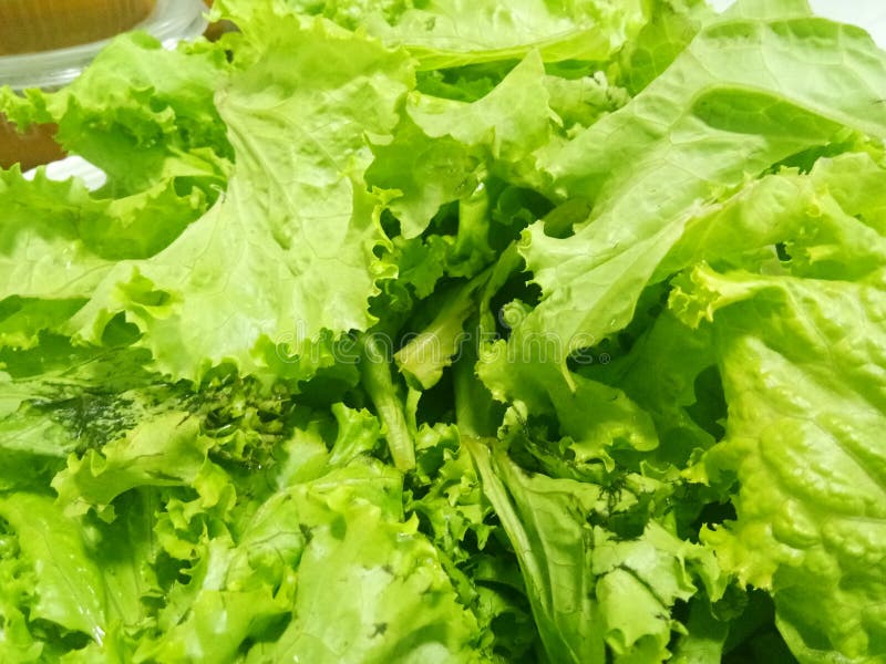 Need some green vegetables stock photo. Image of love - 147888904