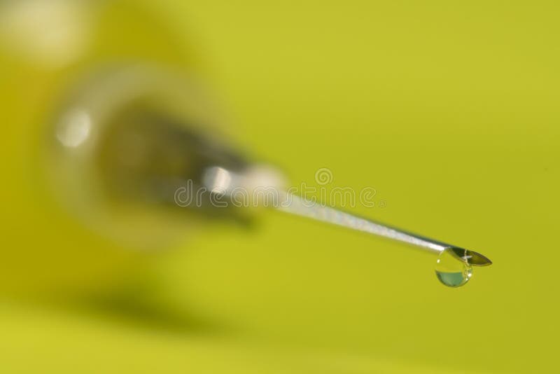 Needle with Drop on the Tip in Shades of Yellow Stock Photo - Image of ...
