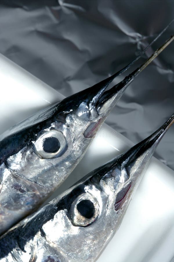 Needle Fish Model stock photo. Image of needlefish, life - 14531750