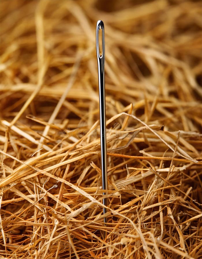 Needle in a hay stack stock illustration. Illustration of loss - 347132205