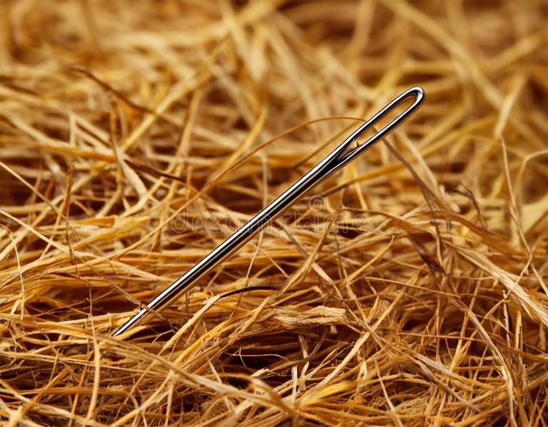 Needle in a hay stack stock illustration. Illustration of sewing ...