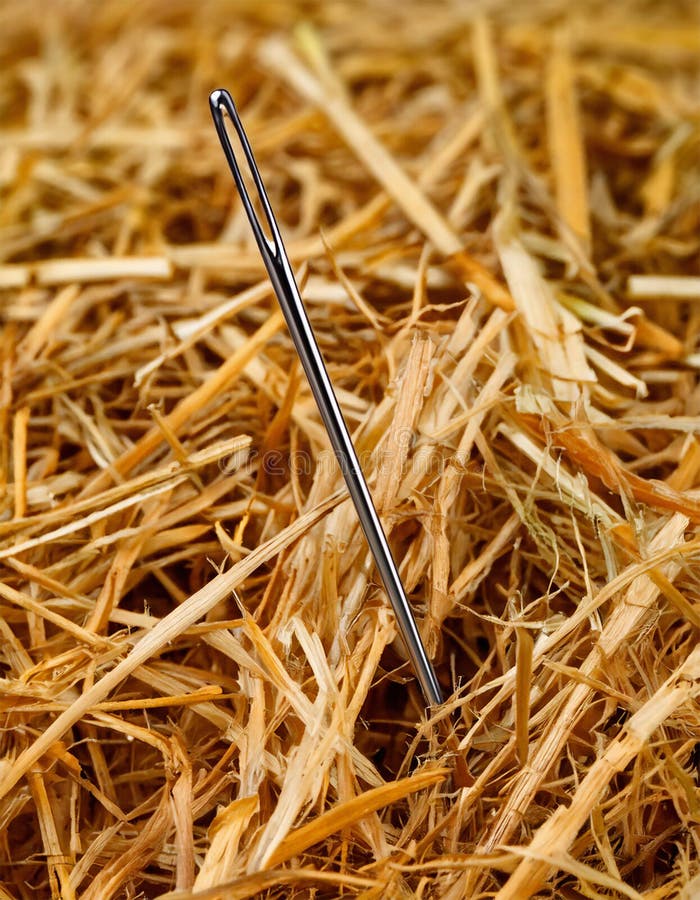 Needle in a hay stack stock illustration. Illustration of persistence ...