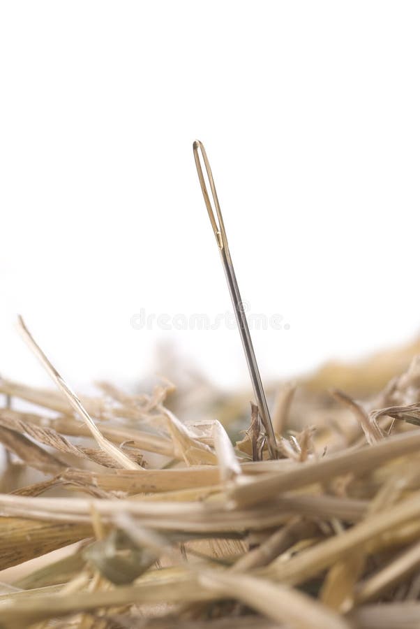 Needle in a haystack stock image. Image of lost, impossible - 303293