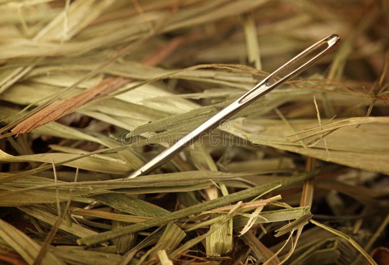 Needle in a haystack. stock photo. Image of conceptual - 18023304