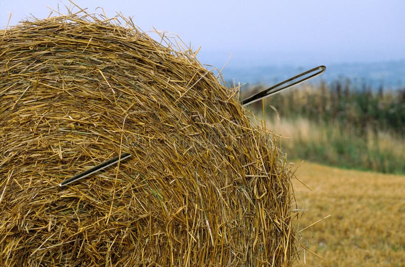 Needle in a haystack stock image. Image of reap, challenge - 1819331 Needle in a haystack stock image. Image of reap, challenge - 1819331