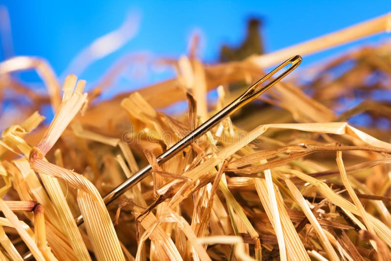 Needle in a haystack stock image. Image of search, blue - 19479095