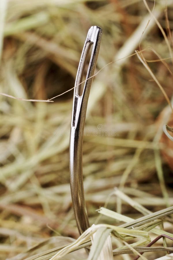 Needle in a haystack stock image. Image of discovery, haystack - 3734293
