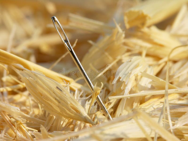 Needle in a haystack stock image. Image of lost, impossible - 303293