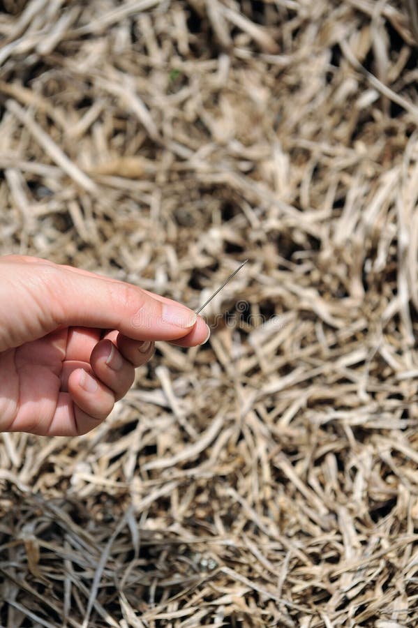 Needle in a haystack stock image. Image of locate, successful - 8884401 Needle in a haystack stock image. Image of locate, successful - 8884401