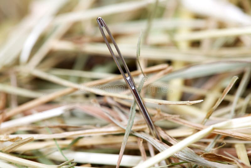 Needle in a haystack II stock image. Image of impossible - 8884663