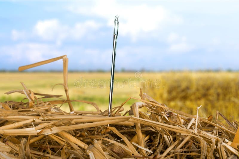 Needle in a Haystack stock image. Image of haystack, hard - 59995865